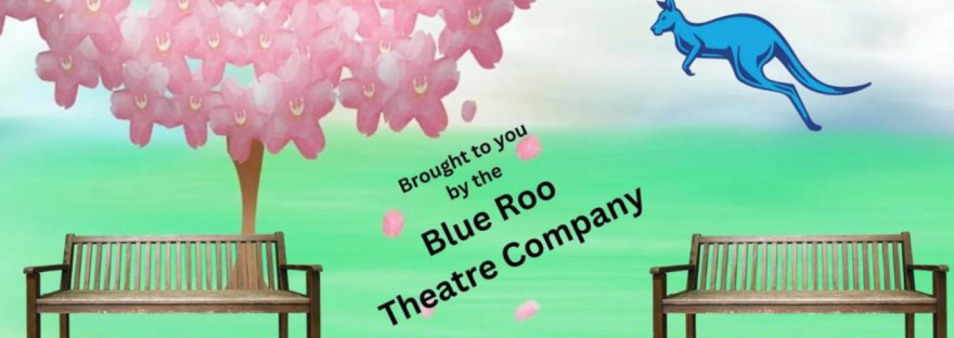 Thanks for the write-up Backstreet Brisbane – Blue Roo Theatre Company